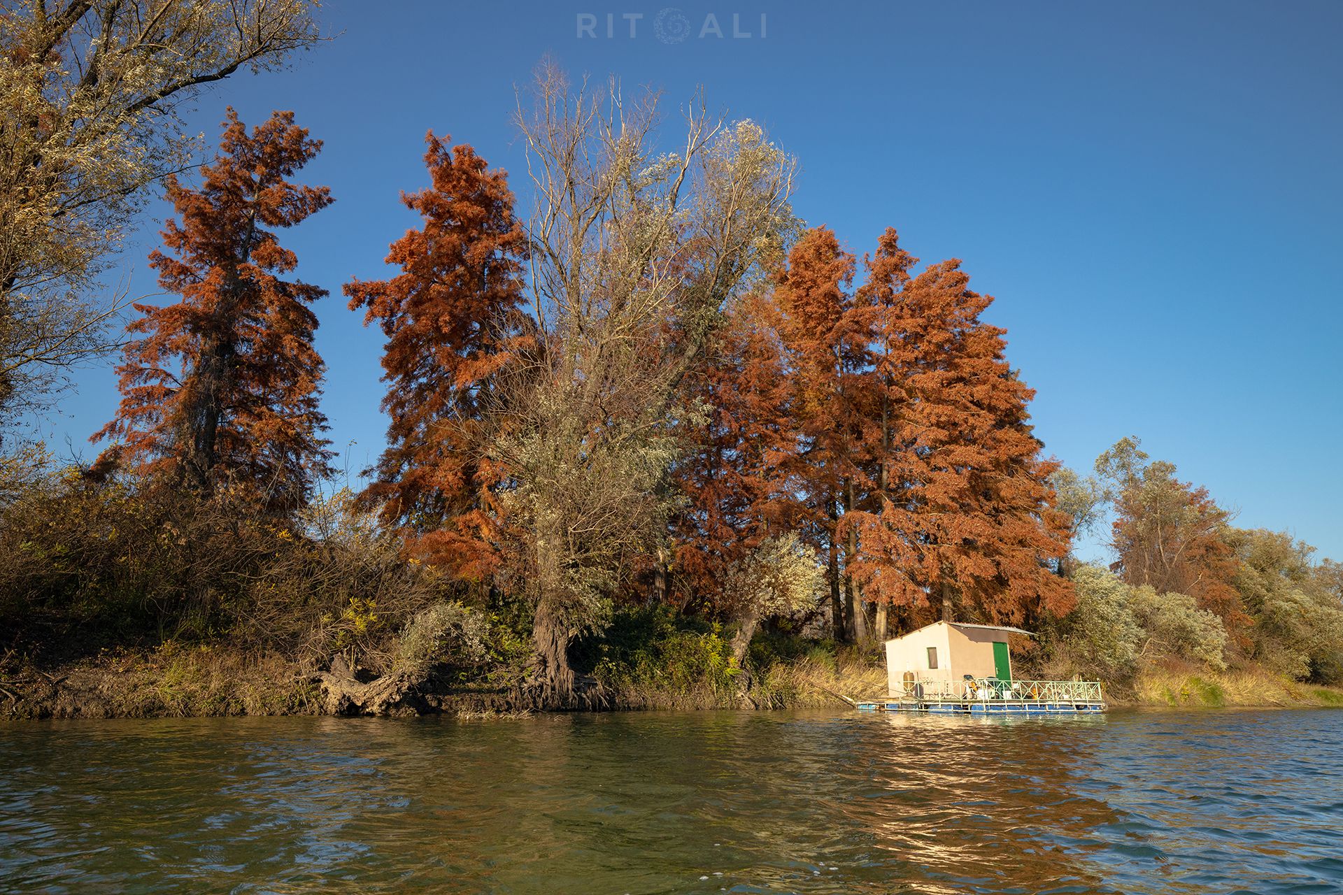 REKA TAMIŠ. GLOGONJ. JESEN NA KAJAKU - Rituali